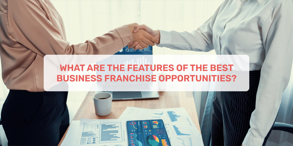 What Are The Features Of The Best Business Franchise Opportunities ...